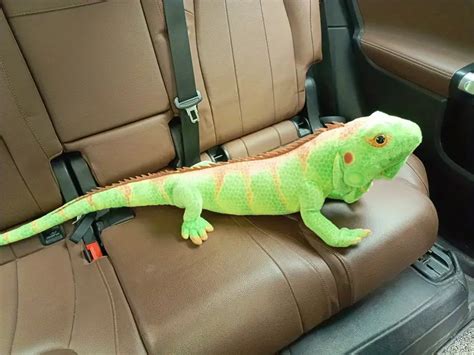 Simulation Lizard Reptile Plush Stuffed Toy Doll Pillow Temu