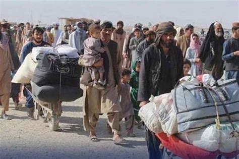 پاک افغان مسائل کے سفارتی حل کی حمایت کرتے ہیں امریکا