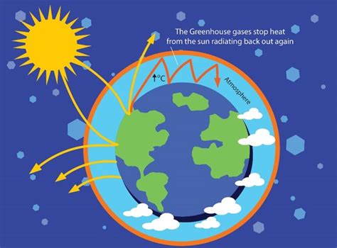 Net Zero Explained Mid Sussex District Council