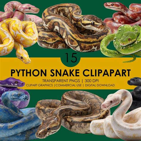 Python Shift Jis Csv Etsy Australia