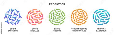 Probiotics Lactic Acid Bacterium Bifidobacterium Lactobacillus Lactococcus Streptococcus