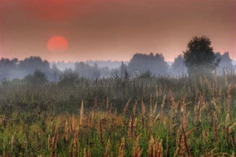 Red sun of Russia stock image. Image of trees, light, clouds - 4249959