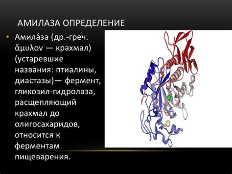 Амилаза Строение амилазы презентация онлайн