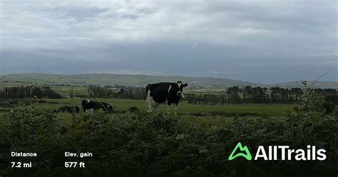 Extended Lisheen Loop County Cork Ireland Map Guide Alltrails