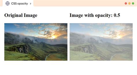 Illuru Taraka Swathi On Linkedin Css Opacity Webdesign