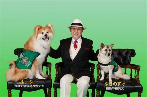 テレビ放送のお知らせ NHK BSプレミアム犬のおしごと 大木トオル代表とセラピードッグ達のブログ I LL BE ALRIGHT