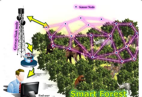 Our Proposed Wsn Architecture For Smart Forest Download Scientific Diagram