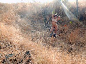 Grass Grass Family Shrubland Plant Community Porn Pic