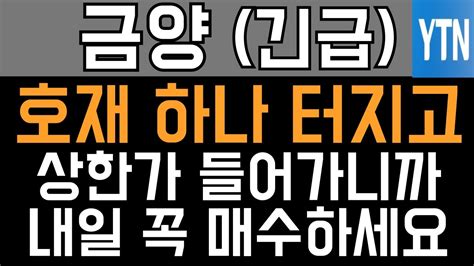 금양 주가전망 긴급 호재 하나 터지고 상한가 들어가니까 내일 꼭 매수하세요 Youtube