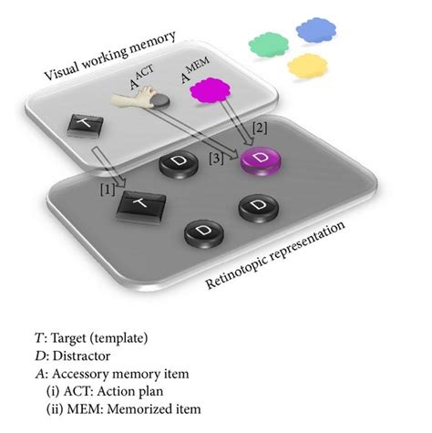 potential extension of a visual working memory wm model suggested by