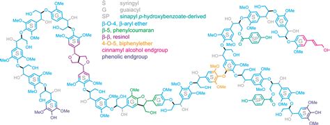 PDF Lignin Biosynthesis And Structure1 Semantic Scholar