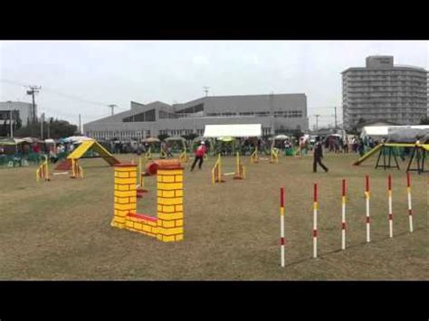 20151010 東京都下アジリティークラブ SKIP AG3 YouTube