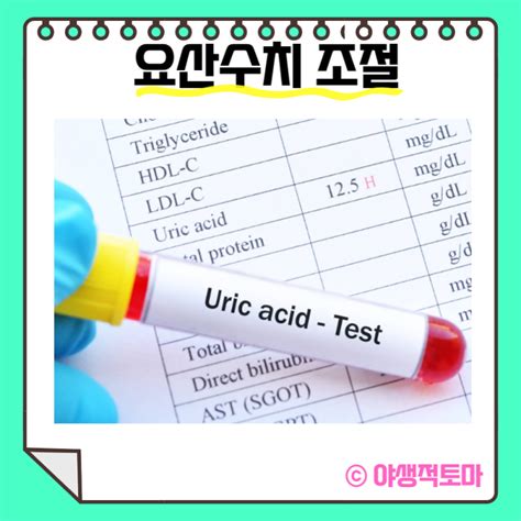 통풍약 페브릭정 Vs 콜킨정 성분 작용기전 효능 부작용 네이버 블로그