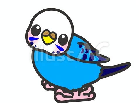 セキセイインコ かわいいイラスト No 22193901無料イラストフリー素材ならイラストAC