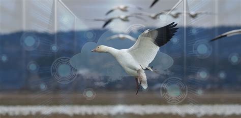 Run Ef Core Migrations In Azure Devops Clear Measure