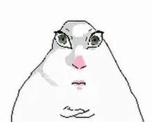  De Hamster Meme Tenor