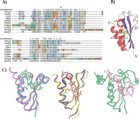 The Role Of A Clinically Important Mutation In The Fold And Rna Binding