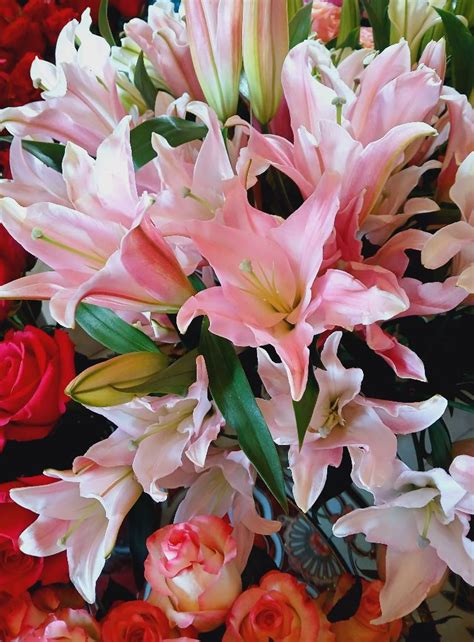 Зүүнхараа Мандала цэцгийн дэлгүүр