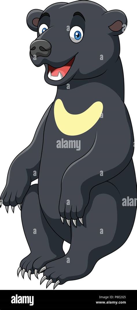 Cartoon Sun Bear Stock Vector Image And Art Alamy