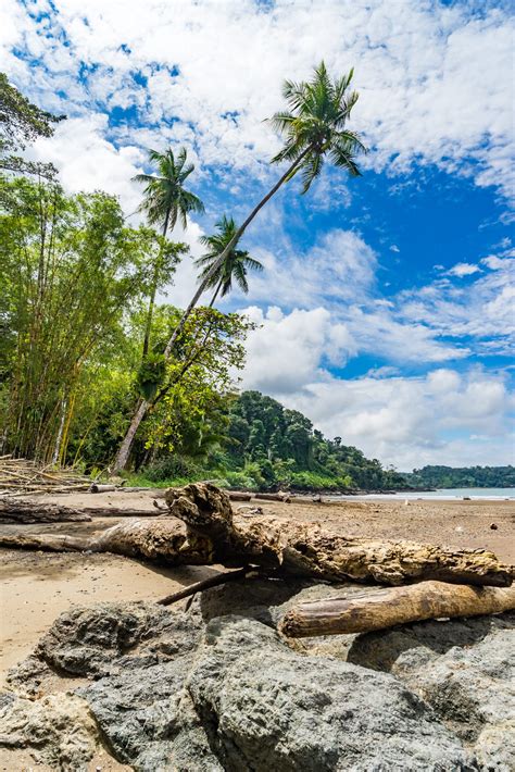 Costa Rica Travel Seasons Wildlife Beaches And Rainforests