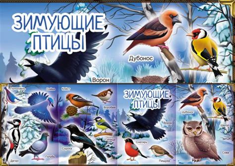 9 января День снегиря Воспитателям детских садов школьным учителям и педагогам Маам ру