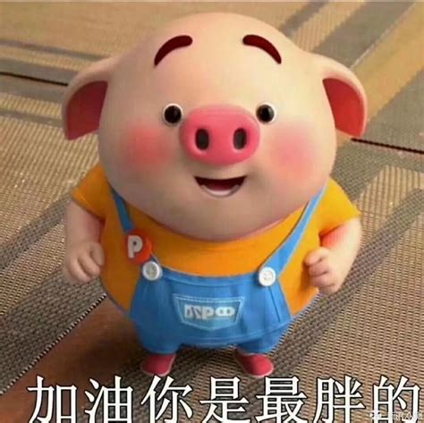 跑步不费钱？谁说的？任务作业新浪众测