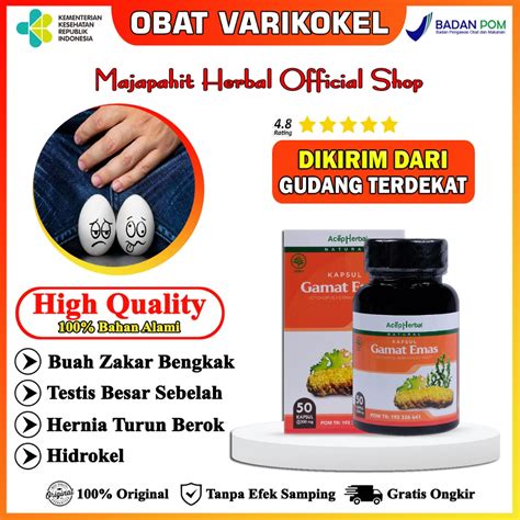 Jual Obat Buah Zakar Bengkak Varikokel Hernia Inguinalis Femoralis