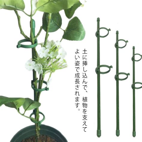 【楽天市場】植物園芸用品 盆栽用 支柱パーツ 植物支柱 園芸 支柱 観葉支柱 支柱 鉢植え 誘引作業 スライド支柱ぐんぐんリング 5枚固定