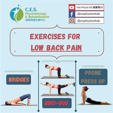 Mckenzie Low Back Exercises