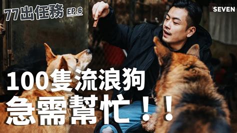 100隻流浪狗急需幫忙？？快陪老大解救他們！！【77出任務ep6】 Youtube