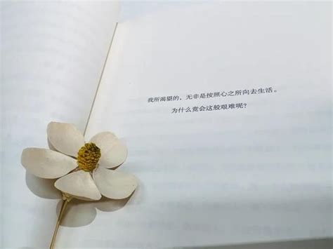 每個在尋找自我的人都應該讀讀黑塞 壹讀