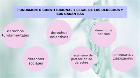 Fundamento Constitucional Y Legal De Los Derechos Y Sus Garant As By