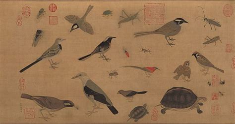 《写生珍禽图》黄筌（五代）