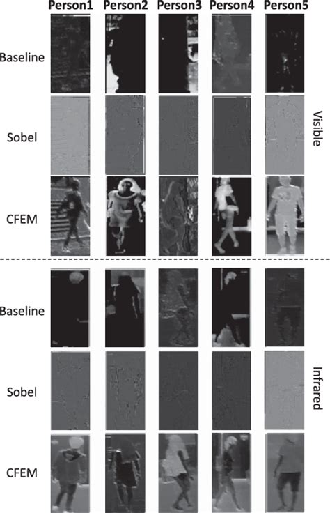 Figure 3 From Diverse Feature Collaborative Progressive Learning For