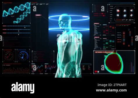 Scanning Brain In Male Body In Digital Display Dashboard X Ray View
