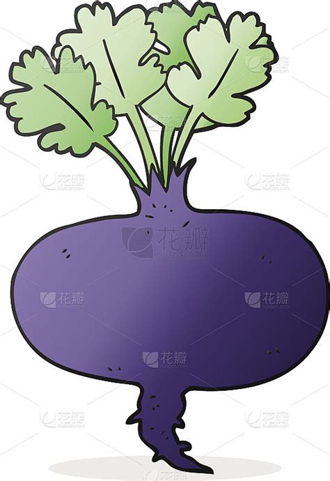 卡通甜菜根