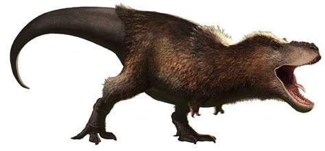 Thoughts On Feathered T Rex R Dinosaurs