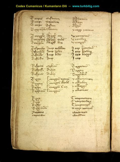 Codex Cumanicus
