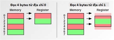 Data Structure Alignment Trong C C CppDeveloper
