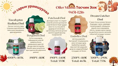 Сургуулийн Өмнөх Боловсролын Шинэчлэл ЦЭГЭЭР НААДЪЯ Зөвлөн туслах ажил эхэллээ Бүтээлч Монгол