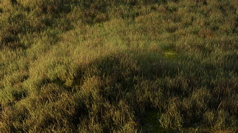 Realistic Grass My First Render Free Link Download On Comment Rblender Realistic Grass My First Render Free Link Download On Comment Rblender