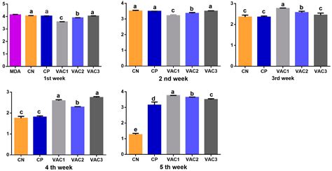 Cytokines Serological And Histopathological Assessment Of Recombinant Vaccination Strategies