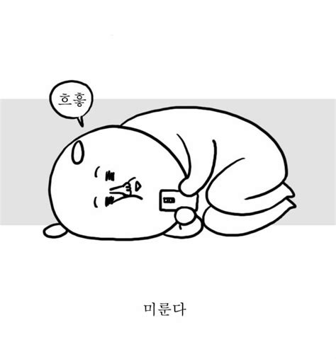 자까랑 모죠 보면 Mbti S랑 N 차이 딱 느껴지는 달글 인스티즈 Instiz 이슈 카테고리