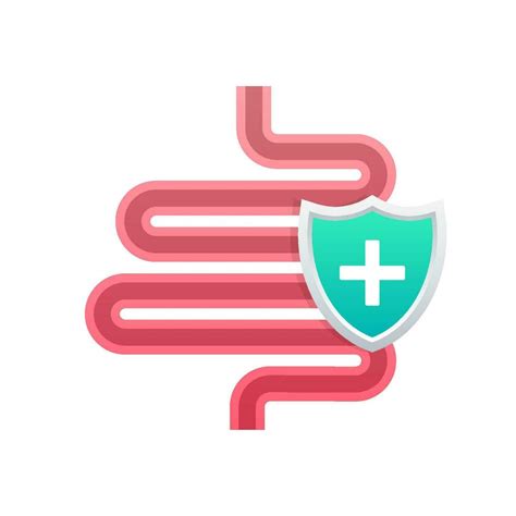 Stomach Protection Healthy Protected Intestine Digestive System