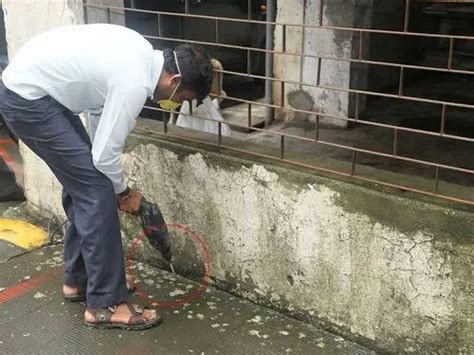 Anti Termite Treatment Jaipur Rajasthan At Best Price In Jaipur