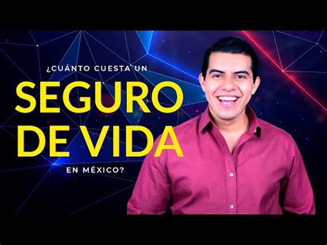 Precios De Seguros De Vida En México Infoseguros mx