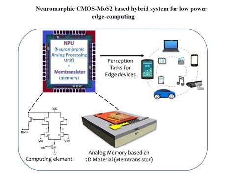 Brain Computation And Data Science