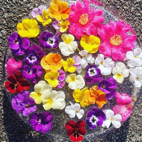 この世の花という昔々の映画 母の介護生活初心者