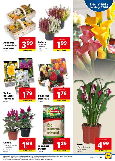 Folheto Lidl Flores Antevisão Já De 19 A 22 Setembro O Caça Promoções