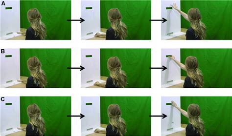 Images Showing Frames Of Example Videos During The Mentalizing And